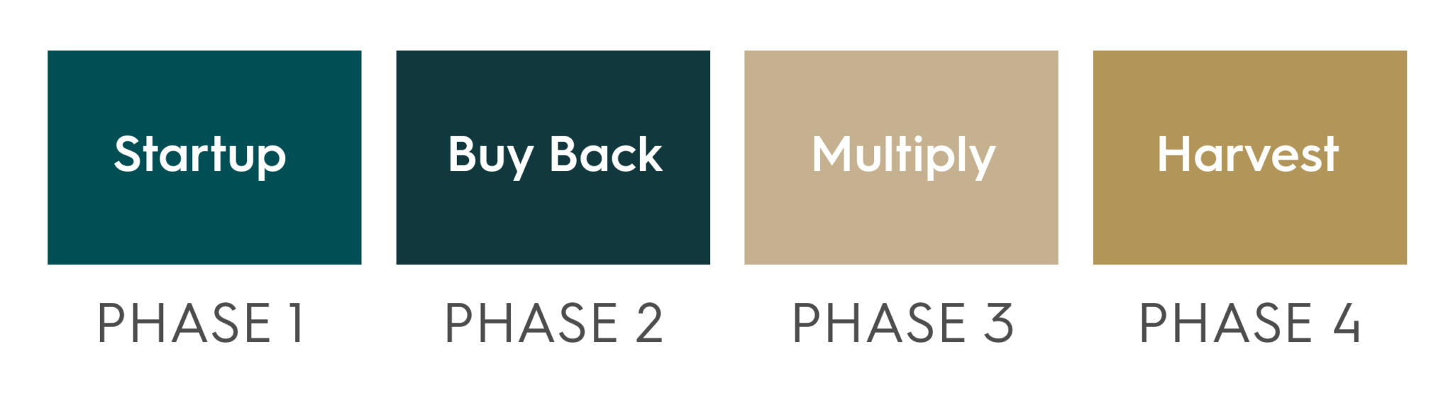 The 4 Phases of a Consultancy - The Wealthy Consultant